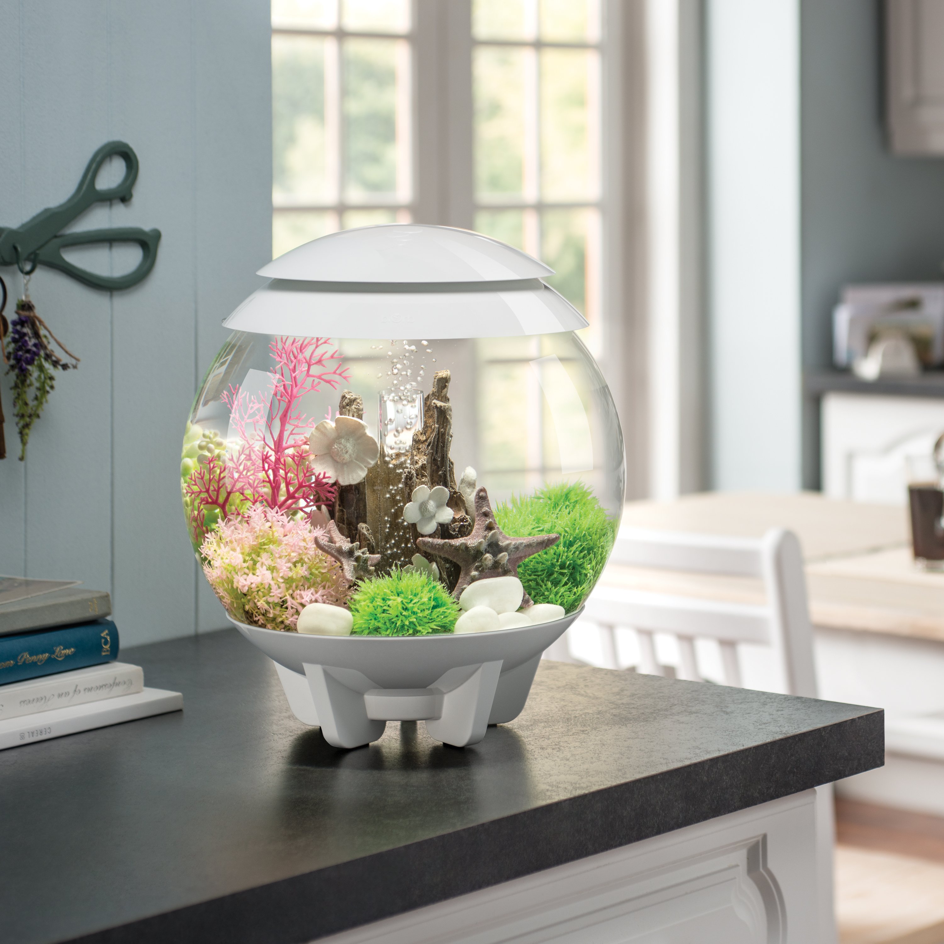 Product Detail: biOrb Flowers on Wood Ornament